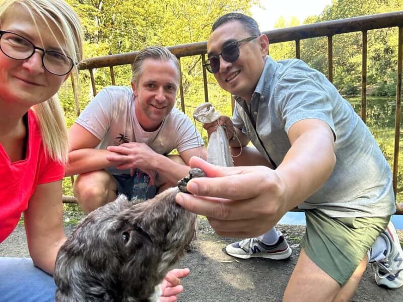 Private TruffleHunting Tour from Belgrade  Lunch with Wine - Final Thoughts: Is It Worth It?