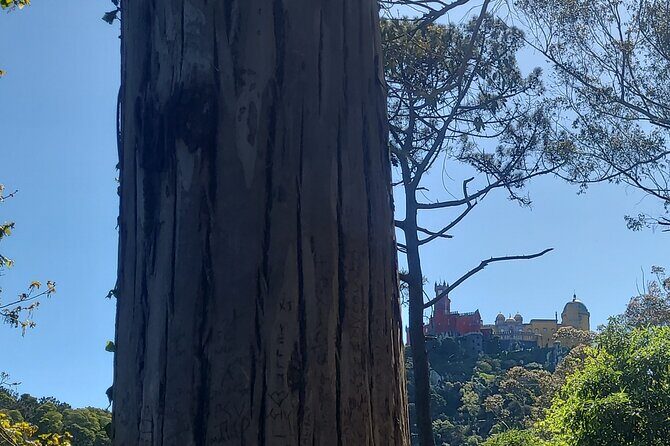 Private Tuk Tuk Tour around Magical Sintra and Coastline - Practical Details and What to Expect