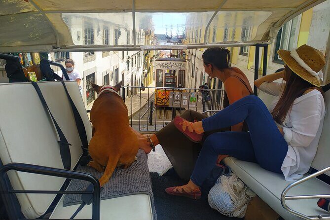 Private tuk tuk tour in old city Lisbon (Standard-1h30) - Final Thoughts