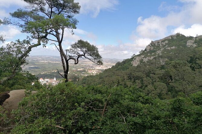 Private Tuk Tuk Tour through Serra de Sintra - Who Will Love This Tour?
