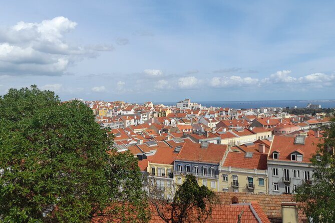 Private tuk tuk tour through the historic center of Lisbon - Who Should Book This Tour?