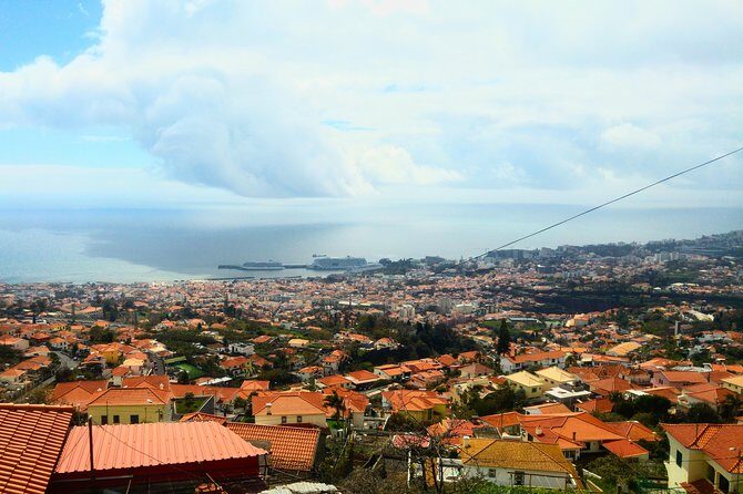 Private Tuk Tuk Tour to Old Town + Monte in Funchal - Key Points
