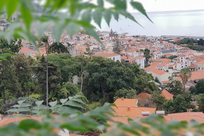 Private Tuk Tuk Tour to Old Town + Monte in Funchal - What to Expect During the Tour