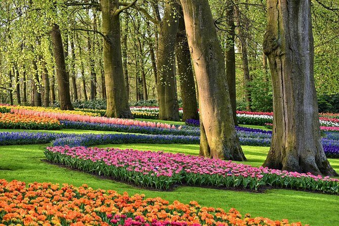 Private Tulip Fields, Windmills and Cheese Tour from Amsterdam - FAQ