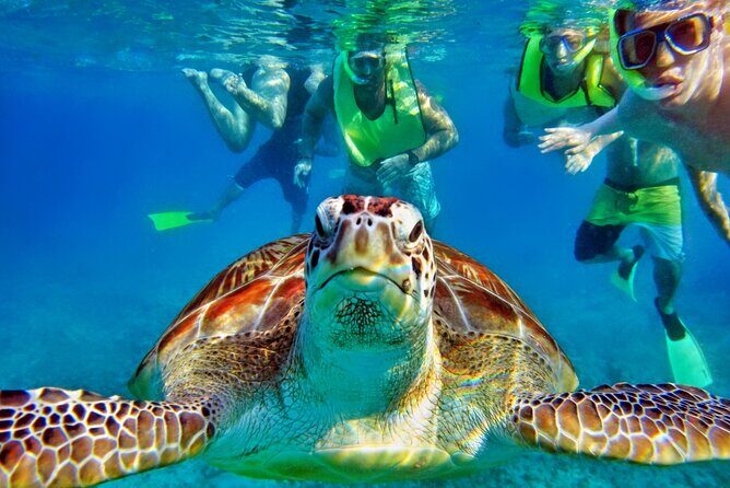Private Tulum Mayan Ruins & Swimming with Turtles Experience - Value for Money