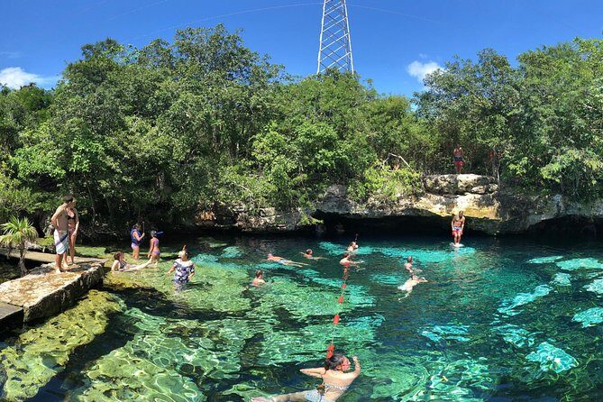 Private Tulum Tour - Transportation and Logistics