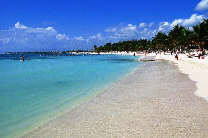 Private Turtles Express - The Sum Up: Is It Worth It?