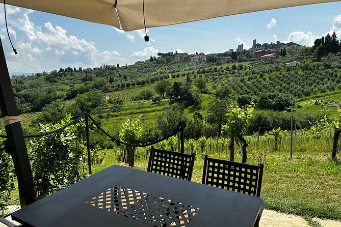 Private Tuscan Lunch with Wine & Evo oil tasting in the Vineyard - Authentic Tuscany in Every Sip and Bite: Private Lunch with Wine & EVO Oil Tasting in the Vineyard