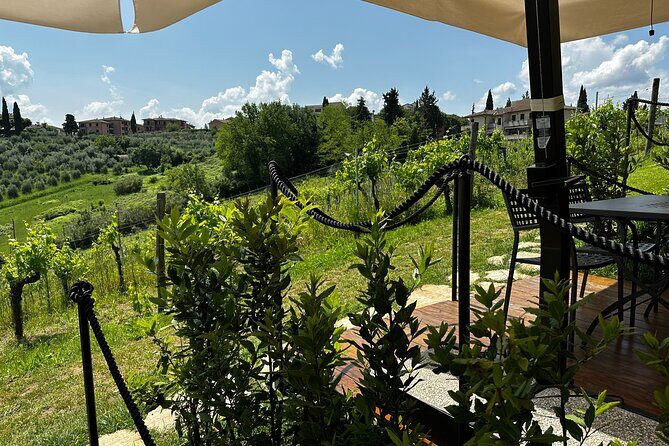 Private Tuscan Lunch with Wine & Evo oil tasting in the Vineyard - Key Points