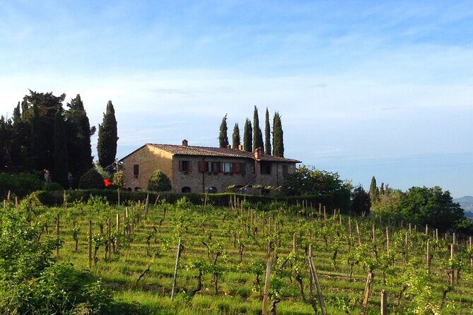 Private Tuscan meal with Wine and EVO oil tasting - Who Will Enjoy This Tour?