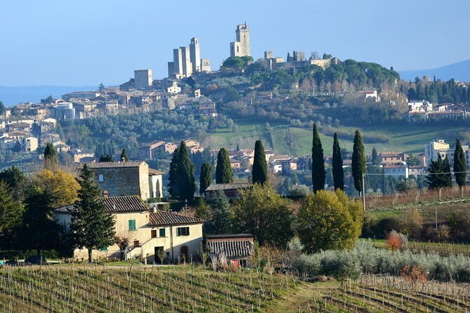 Private Tuscany Day Tour: San Gimignano and Chianti Wine Region from Florence - An Authentic Day in Tuscany: A Review of the Private Tuscany Tour to San Gimignano & Chianti