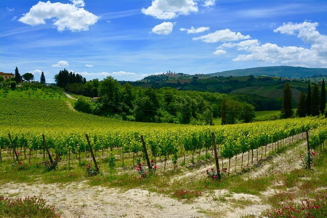 Private Tuscany Day Tour: San Gimignano and Chianti Wine Region from Florence - Who Should Consider This Tour?