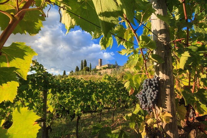 Private Tuscany Tour from Florence Including Siena, San Gimignano and Chianti Wine Region - Exploring the Best of Tuscany: A Detailed Look at the Private Tour from Florence
