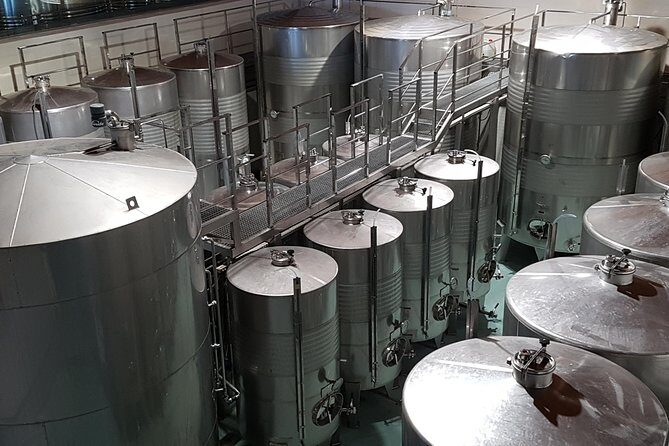 Private Txakoli Wine Tour through the Coast from San Sebastian - Final Thoughts