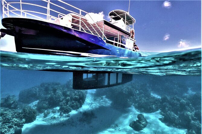 Private Underwater Excursion in the Bora Bora Lagoon - Introduction