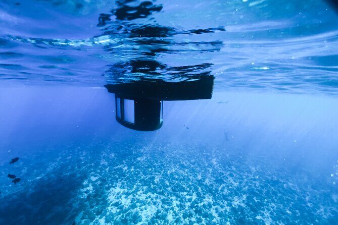 Private Underwater Excursion in the Bora Bora Lagoon - The Value of the Experience