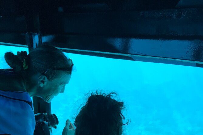 Private Underwater Excursion in the Bora Bora Lagoon - Practical Details