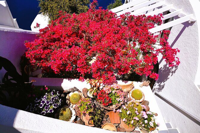 Private Unseen Authentic Santorini Half Day Island Tour - An Authentic Journey Through Santorini’s Hidden Corners