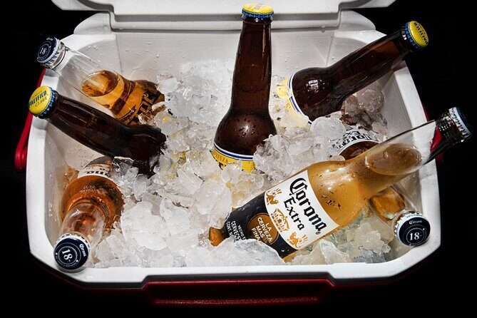 Private VAN Round-Trip from Airport to Hotel in San José del Cabo - In-Depth Review of the Airport-to-Hotel Transfer Experience