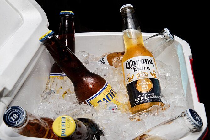 Private VAN Round-Trip from Airport to Hotels in The Corridor - Additional Services and Flexibility