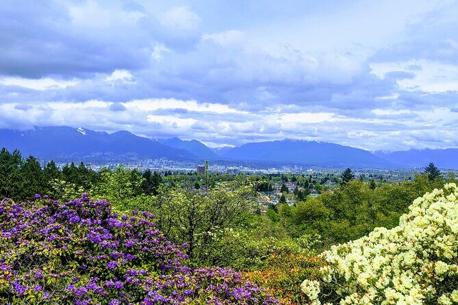 Private Vancouver Compact City Tour by Land and Water - The Sum Up: Who Is This Tour Perfect For?