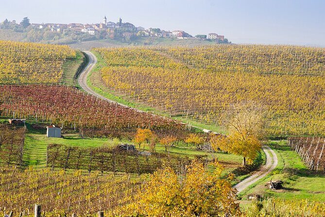Private Vespa Tour "Among the hills of Barolo and Barbaresco" - Final Thoughts: Who Will Love This Experience?