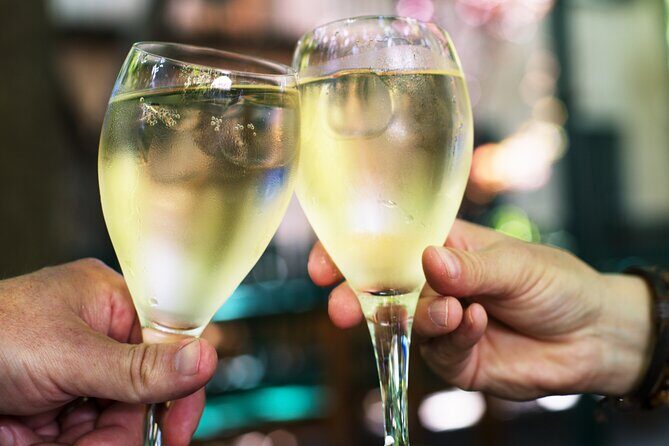 Private Vienna Wine Tour with Top Austrian Wines and Tapas - Key Points