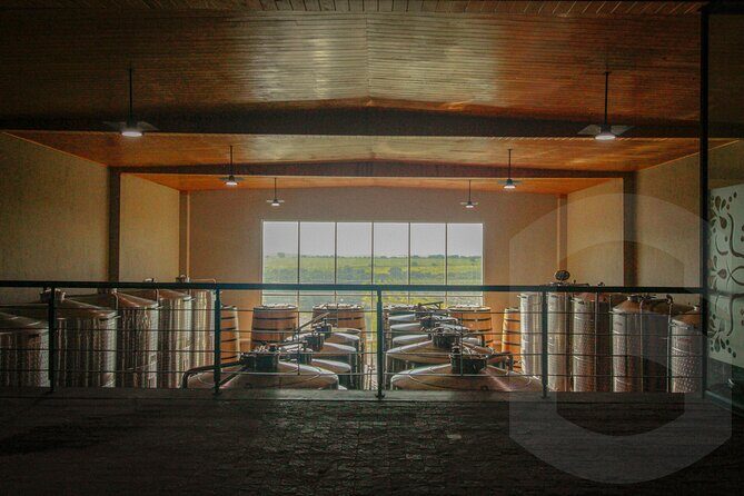 Private Vineyard and Wine Testing Tour From Guanajuato - The Practical Details: Transportation, Timing, and Cost