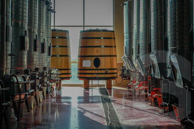 Private Vineyard and Wine Testing Tour From Guanajuato - Who Is This Tour Best For?