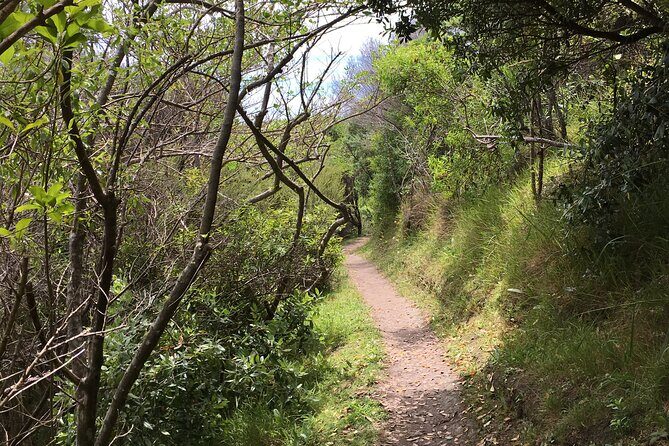 Private Vineyard Bush Walk Tour in Waiheke Island - What to Expect from the Tour