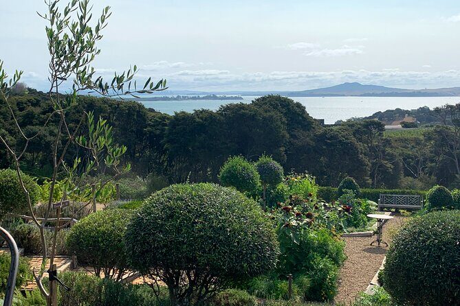 Private Vineyard Bush Walk Tour in Waiheke Island - Who Should Consider This Tour?