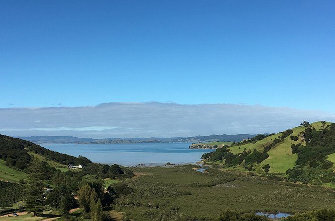 Private Vineyard Bush Walk Tour in Waiheke Island - FAQ