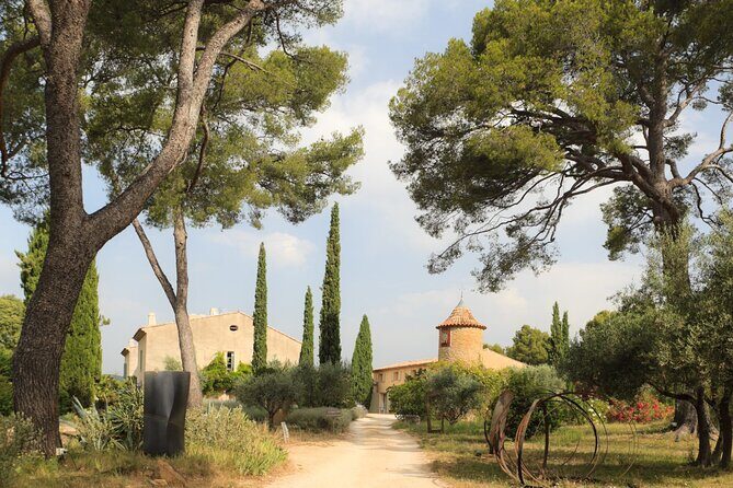 Private Vineyard Tour and Wine Tasting in Bandol - Key Points