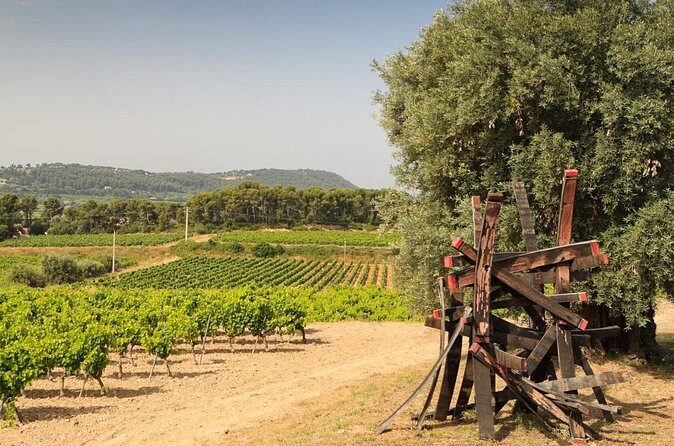Private Vineyard Tour and Wine Tasting in Bandol - Who Will Love This Tour?