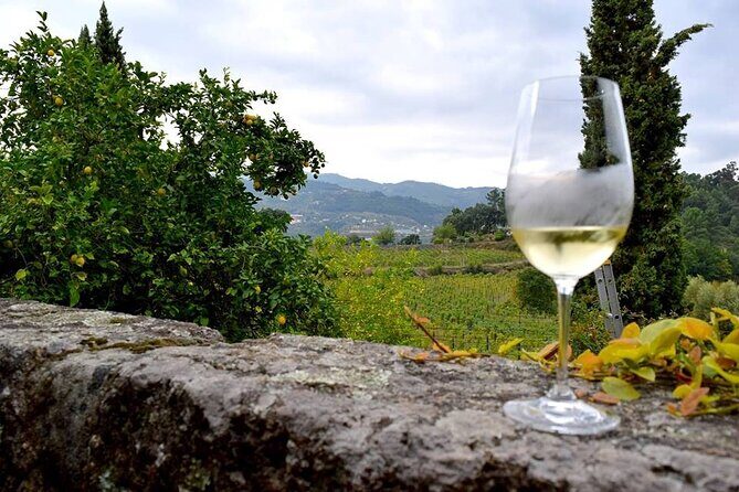 Private Vinho Verde Wine Tour from Porto with Lunch & Tastings - Frequently Asked Questions