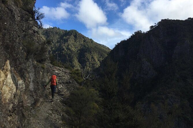 Private VIP Hawkes Bay Geothermal Hot Pools Hike - What Makes This Tour Stand Out?