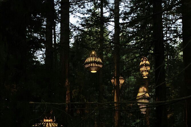 Private VIP Luxury Auckland-Rotorua Geothermal Wonderlands - Authentic Insights from Previous Guests