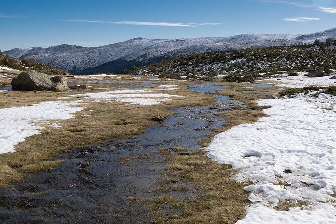 Private VIP Tongariro Overnight Snowshoeing Tour - Who Would Love This Experience?