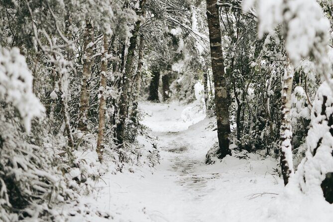 Private VIP Tongariro Overnight Snowshoeing Tour - FAQ