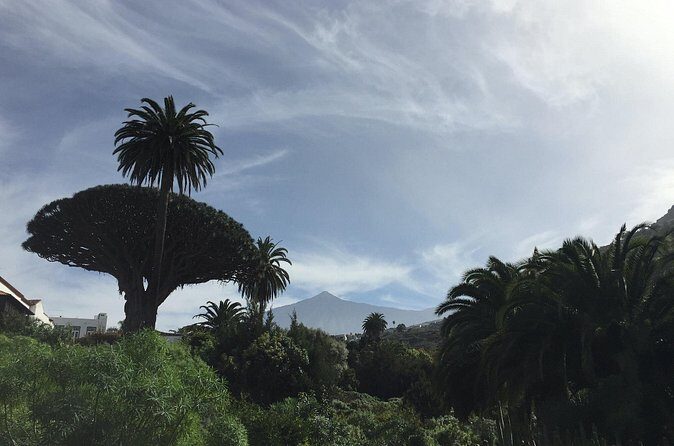 Private VIP Tour Tenerife Magic Circle - Who Is This Tour Best For?