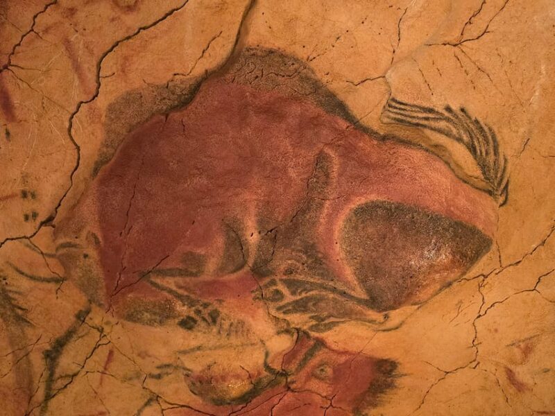 Private visit Altamira Museum and Neocave: the fascination of prehistory - Why This Tour Offers Great Value