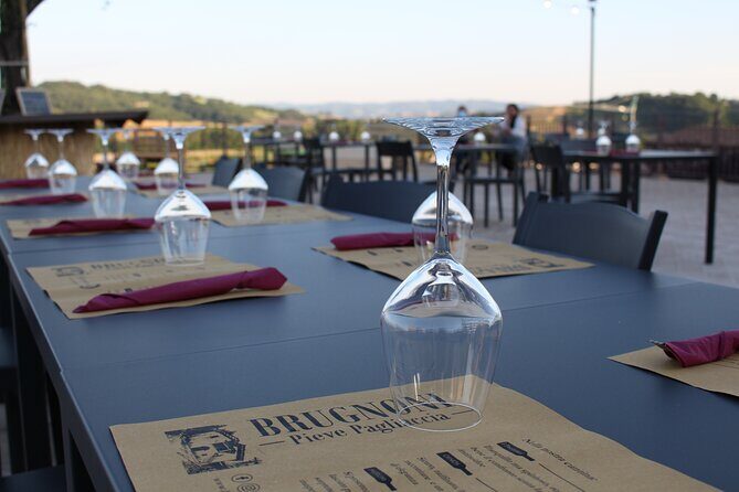 Private visit to the Brugnoni winery with tasting of 4 wines - Final Thoughts  