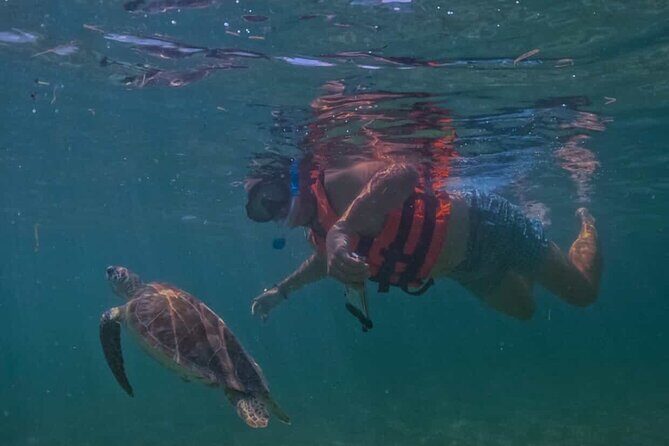 Private VW Beetle Tour Swim with Turtles, Visit Tulum Ruins&Town - Introducing the Private VW Beetle Tour: Swim, Explore, and Experience Tulum and Akumal