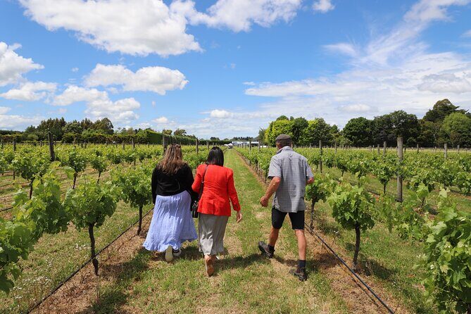 Private Wairarapa Wine Delights Tour from Wellington - Final Thoughts: Is This Tour Worth It?