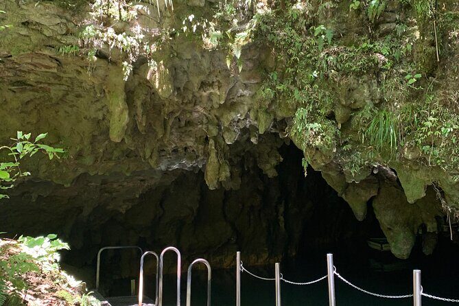 Private Waitomo Caves Tour - Auckland Tour House - Discovering the Highlights of the Tour