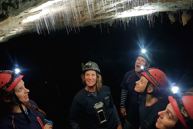 Private Waitomo Glowworm Cave Tours - The Sum Up