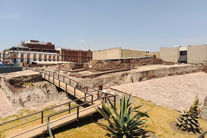 Private walk CDMX Historic Center + Museums + Tacos + Metro - Who Should Consider This Tour?
