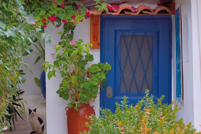 Private Walking Tour: Ancient Agora, Plaka and Monastiraki monuments - Starting Point: Syntagma Square and the Museum