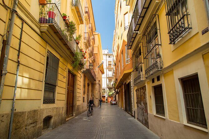 PRIVATE Walking Tour Historical Center with Local Expert - A Deep Dive into the Valencia Private Walking Tour
