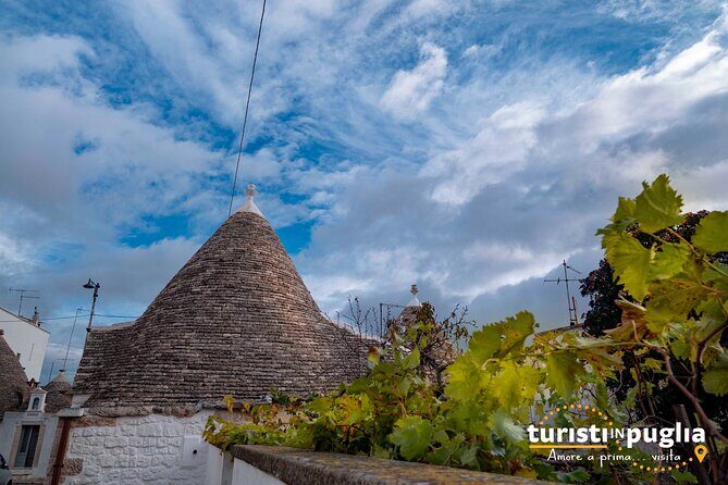 Private walking tour in Alberobello - A Detailed Look at the Tour Experience  